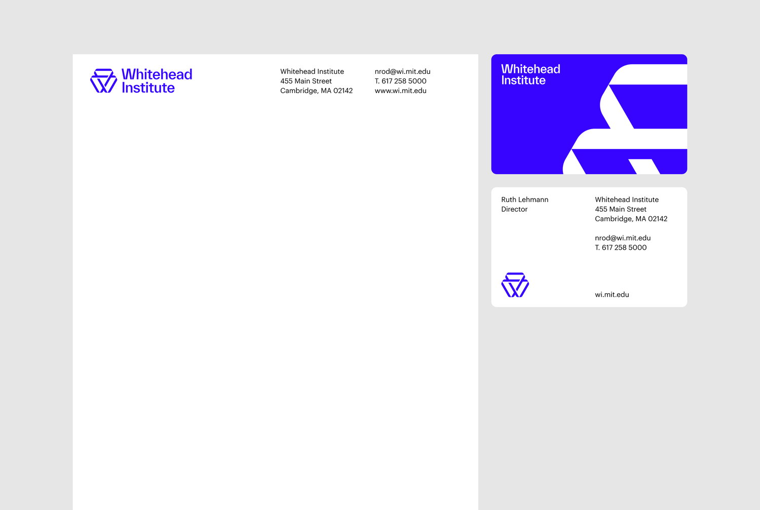 Whitehead Institute - AREA 17