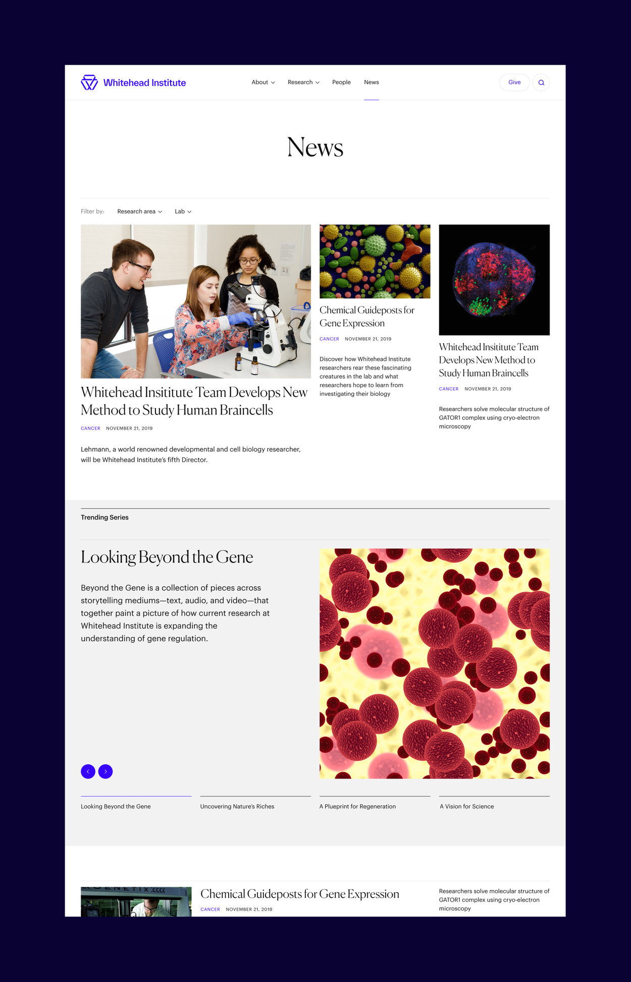 Whitehead Institute - AREA 17